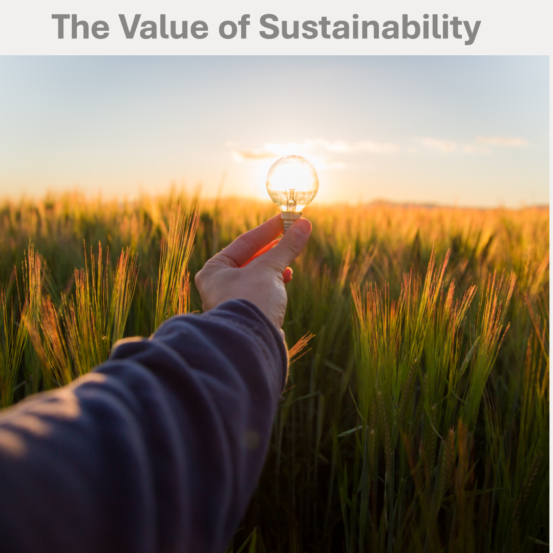 The Value of Sustainability: Paving the Way Towards a Better Future ...